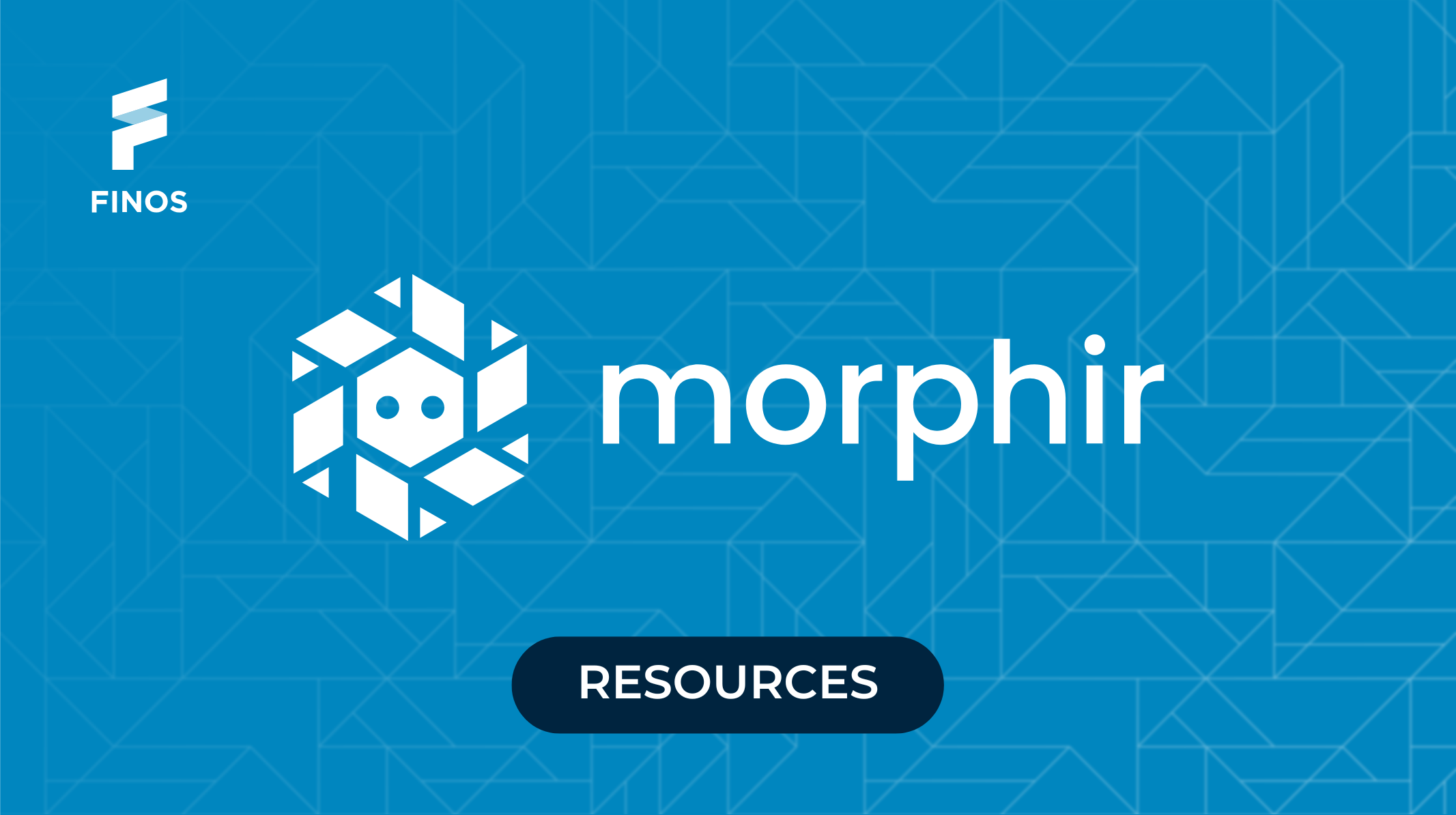 Morphir Resources